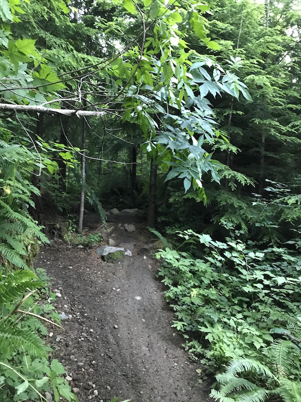 Tiger: Defanged - The Intermediate Loop Mountain Biking Route | Trailforks