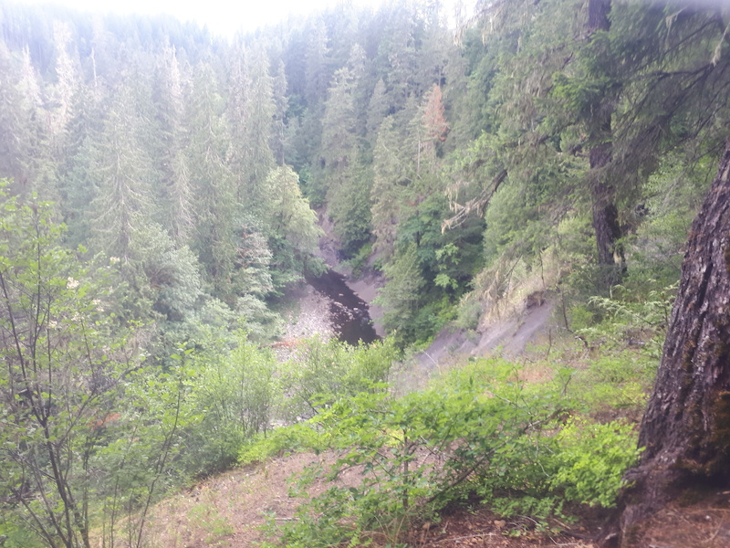 Trent's Edge Mountain Biking Trail - Royston, BC