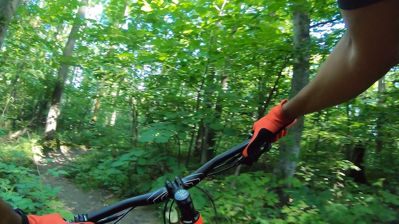 ⭐ 5th Dimension - Copeland Tour Mountain Biking Route | Trailforks