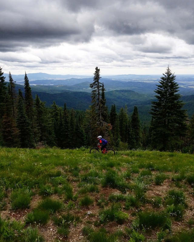 Trail 130 Mountain Biking Trail - Spokane, Washington