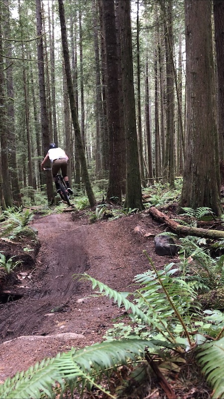 Lower Ditch Pig Mountain Biking Trail - Squamish, BC