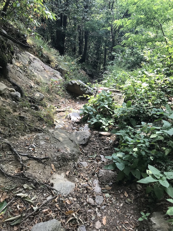 Dolo Multi Trail - | Trailforks