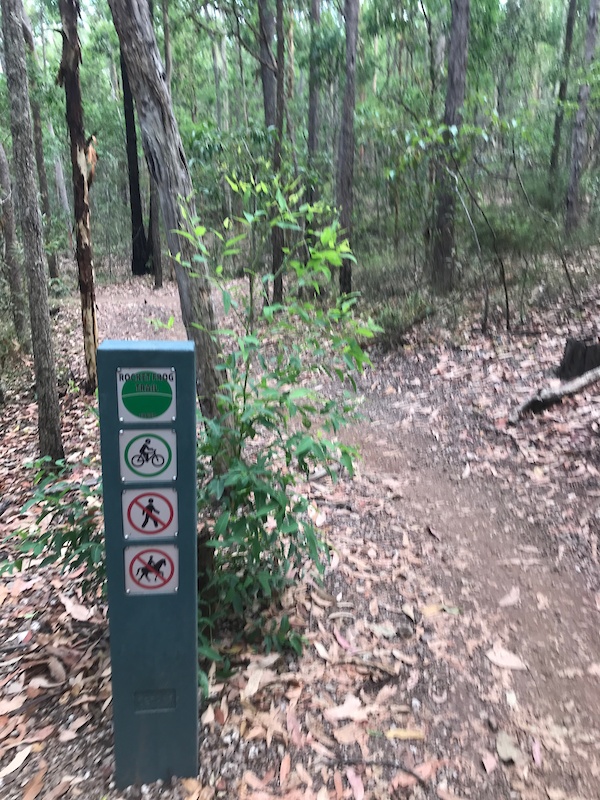 Rocket Frog Trail Mountain Biking Trail - Brisbane