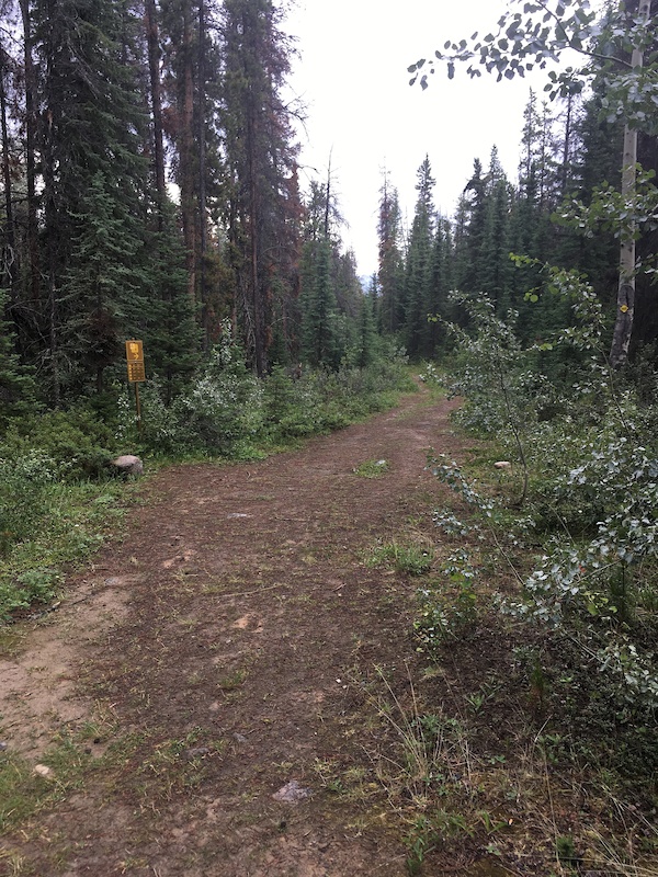 Fryatt Valley (Lower Fryatt) Multi Trail - Jasper, AB
