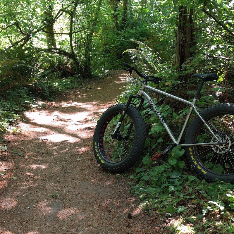 Nightcrawler Mountain Biking Trail - Tacoma, Washington