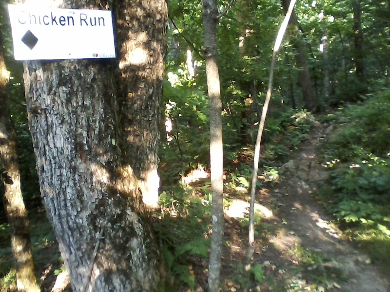 Chicken Run Mountain Biking Trail - Chelsea, Quebec