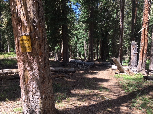 Groundhog Stock Trail Mountain Biking Trail - Rico, CO