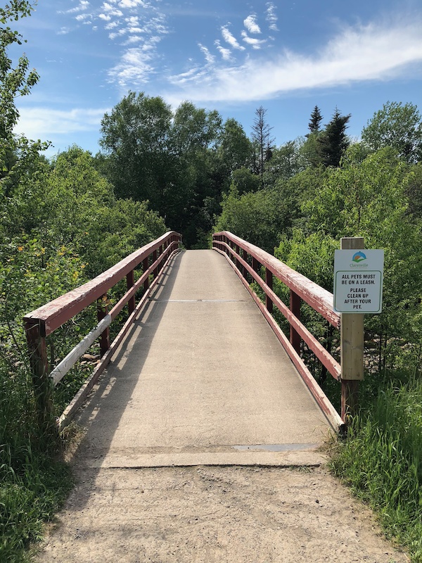 Elizabeth Swan to Dog Park Loop Access Mountain Biking Trail ...