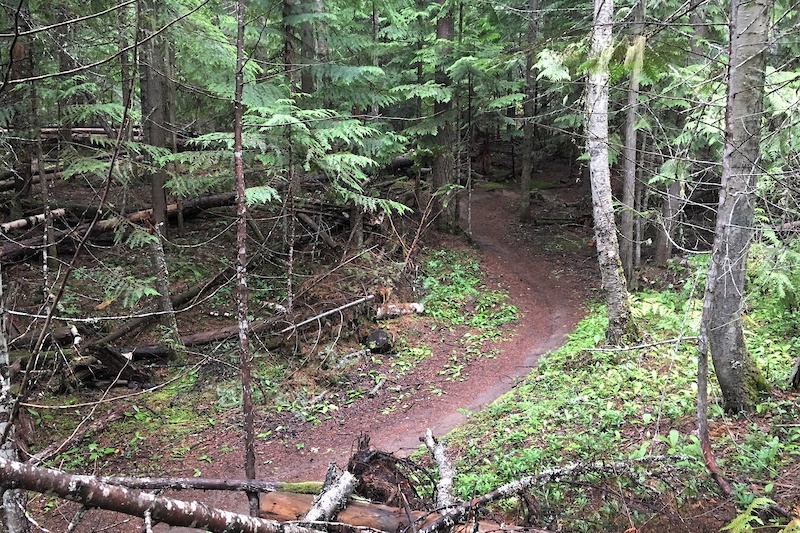 Box Lake Mountain Biking Trails | Trailforks