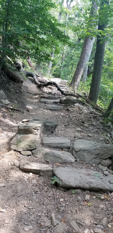 White Trail Multi Trail - Philadelphia, Pennsylvania