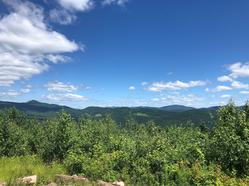 Labyrinth Mountain Biking Trail - Pittsfield, Vermont