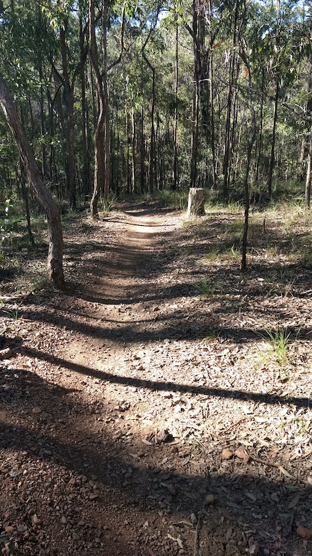 Shimano MTB GP 2022 - Logan - QLD Mountain Biking Route | Trailforks