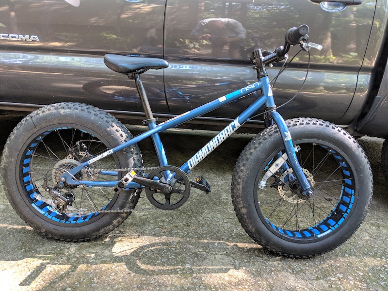 2015 El Oso Nino Fat Bike For Sale