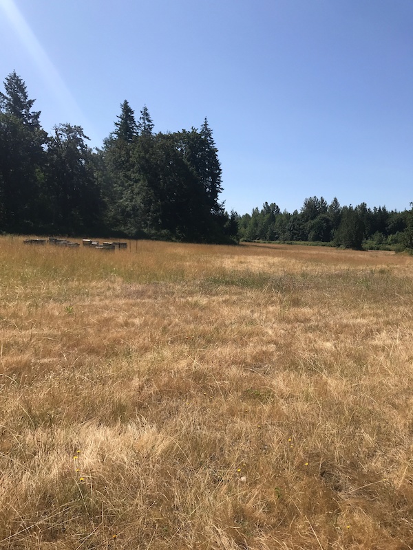 Bridges Mountain Biking Trail - Maple Valley, Washington