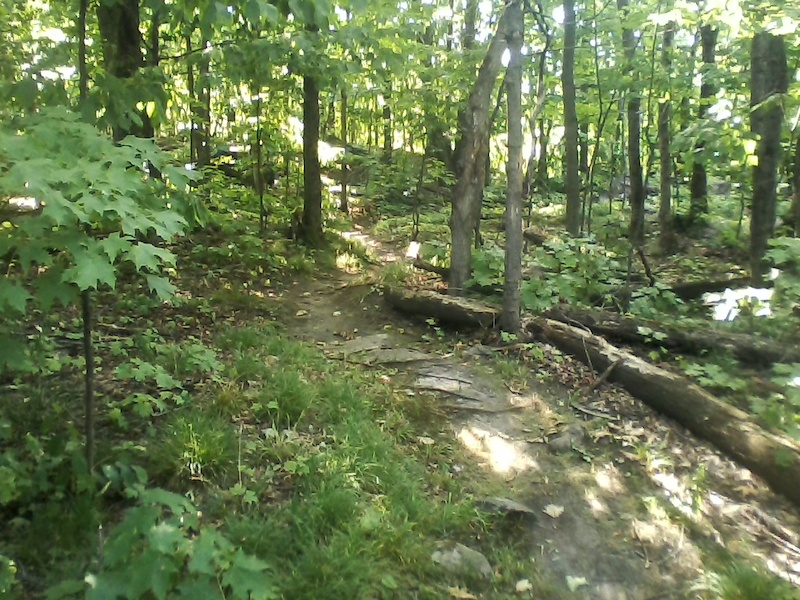 2024 OMBA Social Enduro - Stage F Mountain Biking Route | Trailforks