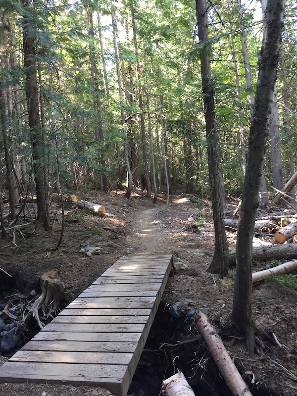 The Dewdney Trail Mountain Biking Trail - Rossland