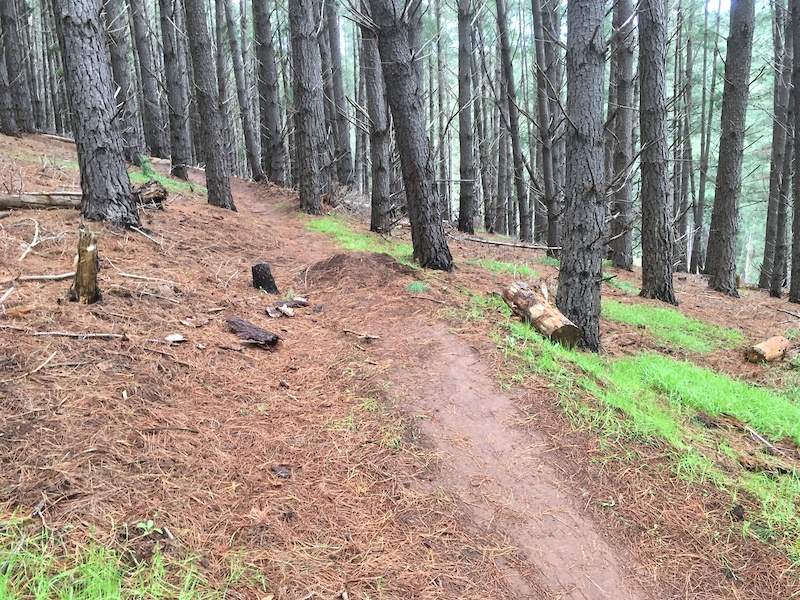 Kangarilla, Kangarilla Mountain Biking Trails | Trailforks