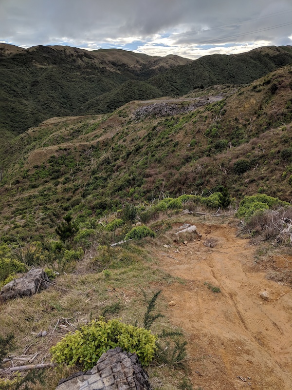Borderline Mountain Biking Trail - Lower Hutt
