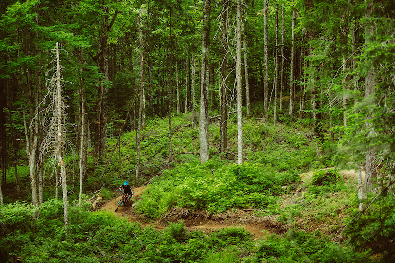 Queue de castor Mountain Biking Trail - Lac Delage