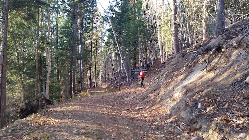 Bluff Trail Multi Trail - McBride, British Columbia