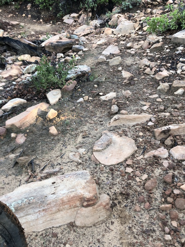 Strawberry Pine Loop with Road Finish Mountain Biking Route | Trailforks