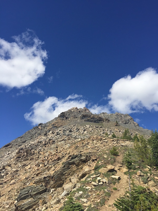 Mount Terry Fox Hiking Trail Hiking Trail - Valemount