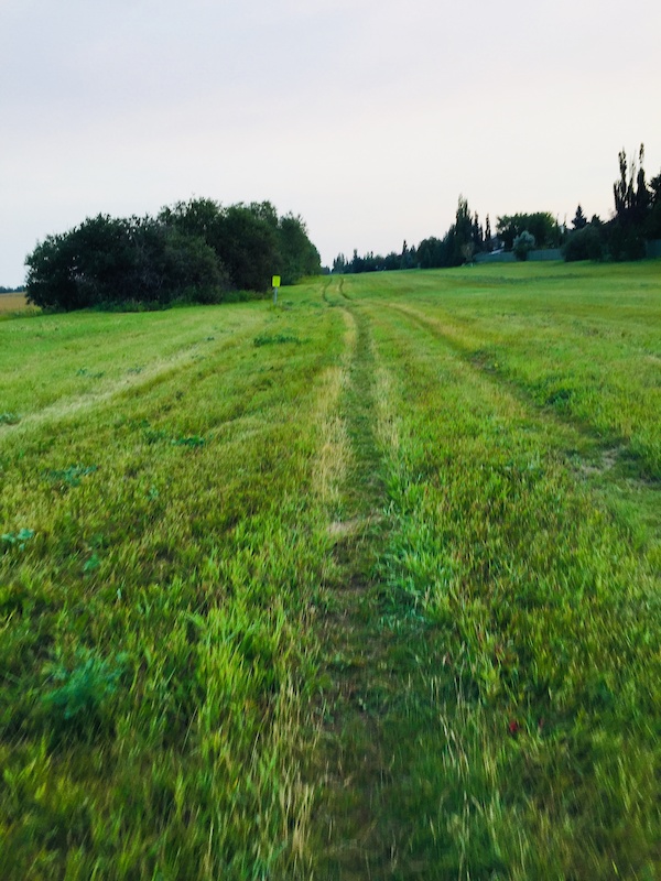 Layman in Lessard Mountain Biking Trail - Northwest Edmonton