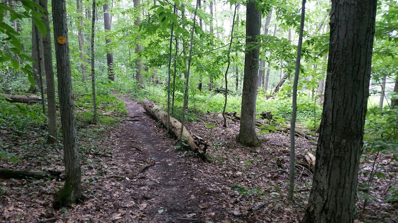 Tompkins County, New York Road Biking Trails | Trailforks