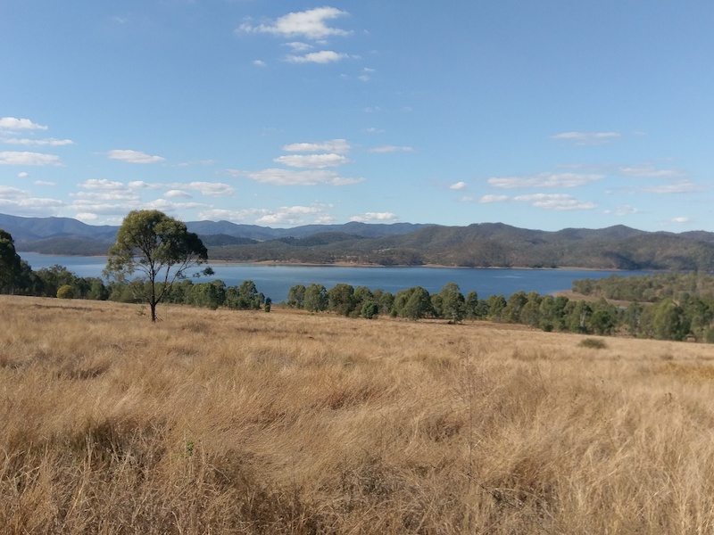 Red Trail Mountain Biking Trail - Ipswich | Trailforks
