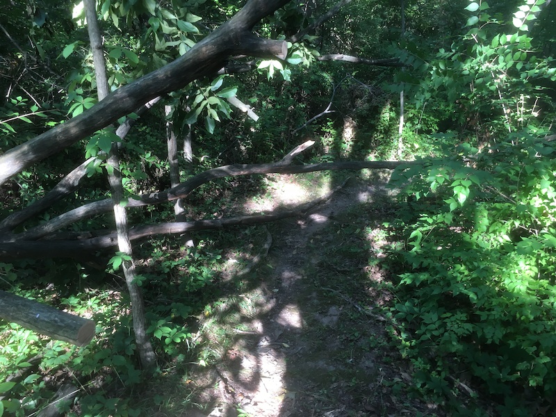 Old Mug Route- Jubilee State Park Mountain Biking Route | Trailforks