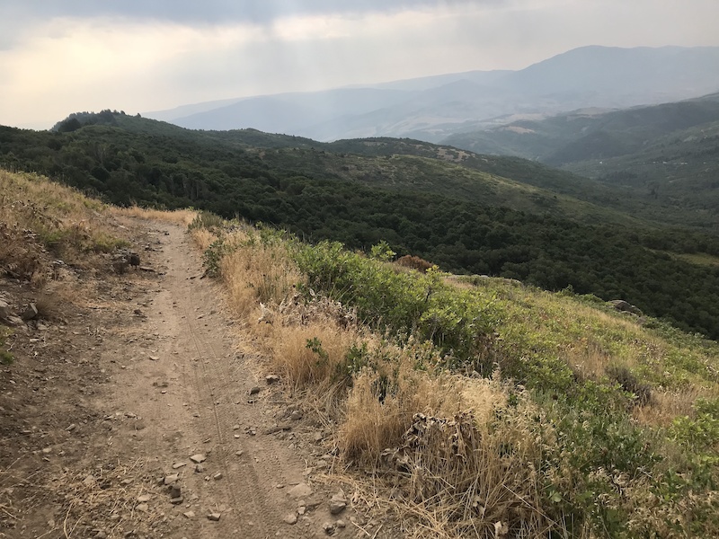 Wheeler to Snowbasin loop Mountain Biking Route | Trailforks