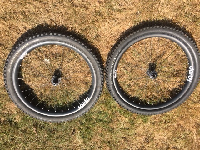 2016 Derby Carbon Rims Laced to DT Swiss Hubs For Sale