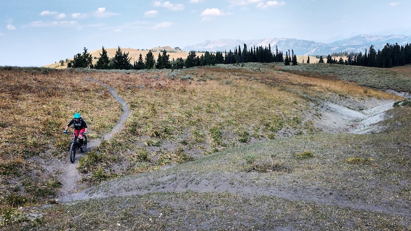 Bald Mountain Loop Mountain Biking Route | Trailforks
