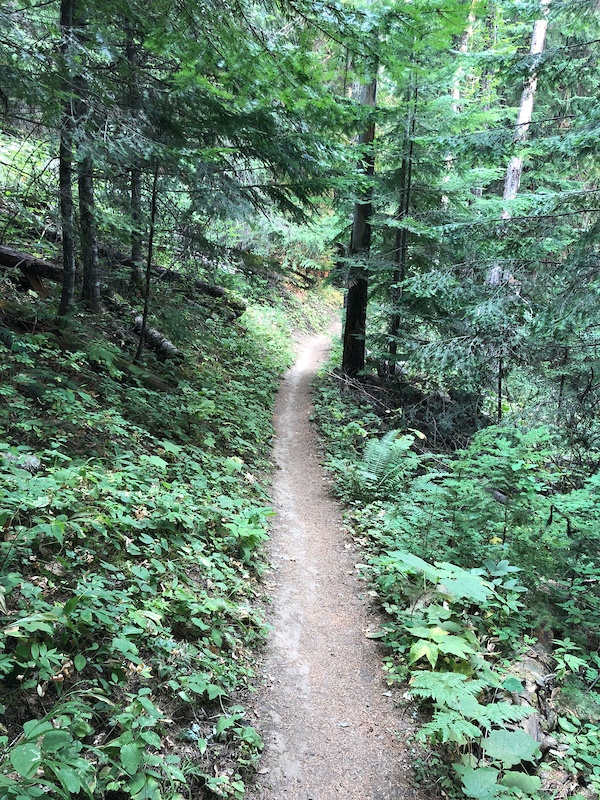 MT CDA -EASY LOOP Mountain Biking Route | Trailforks