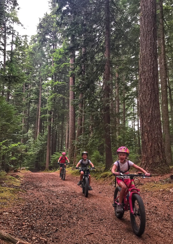Ride Away Stigma Cruiser Ride Mountain Biking Route | Trailforks