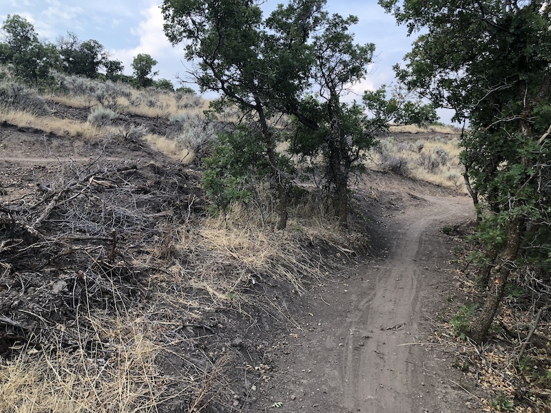 Fort Canyon Multi Trail - Lambert Park, Alpine, Utah