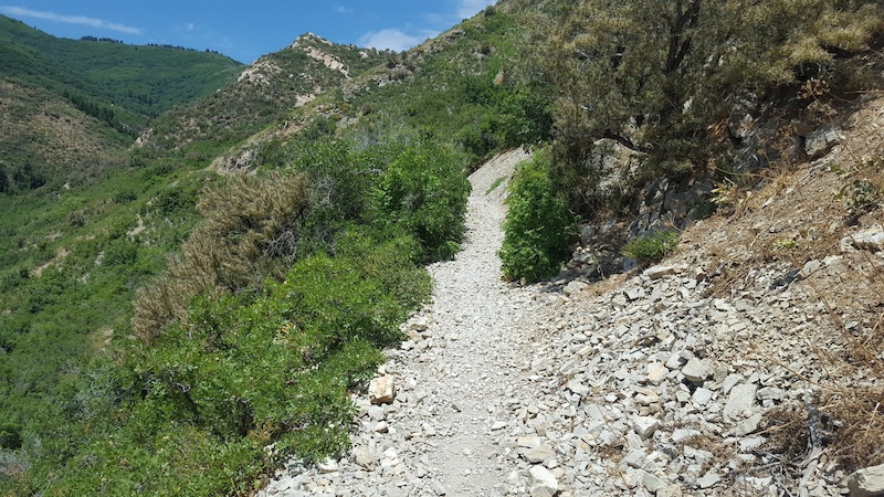 Chewelah, Washington Mountain Biking Trails | Trailforks