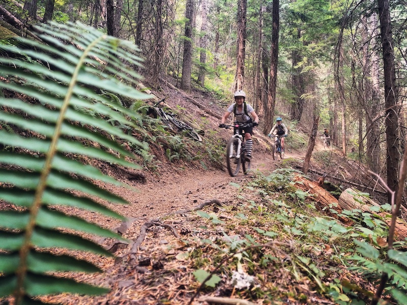 MT CDA -BIG LOOP | Trailforks
