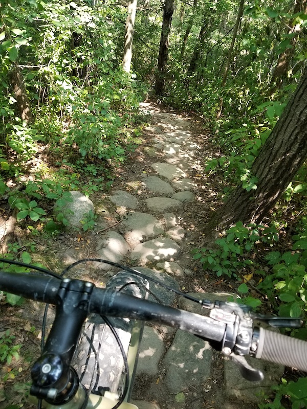 Theo North Expert Multi Trail - Minneapolis, Minnesota