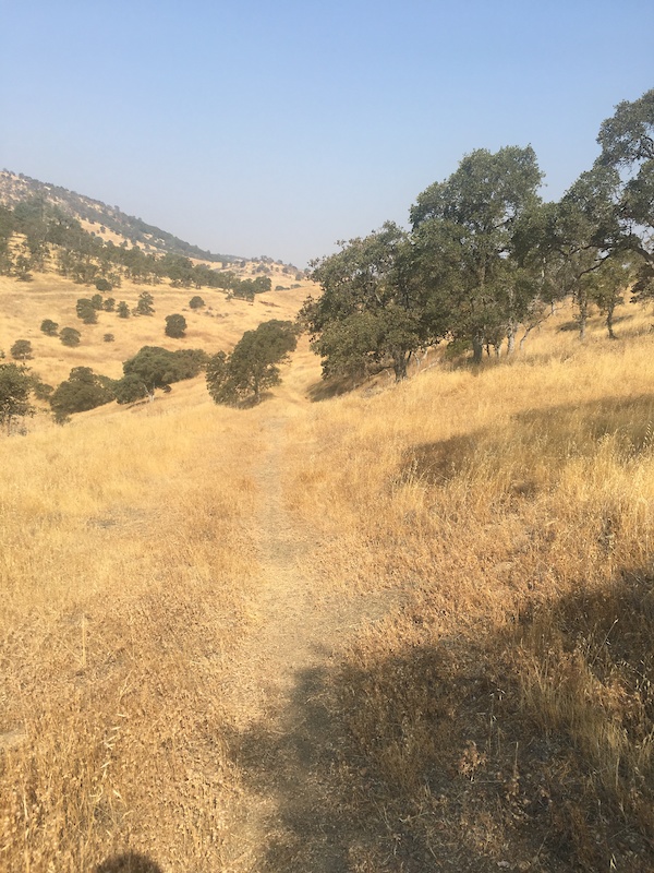 Two Track Mountain Biking Trail - Merced, California