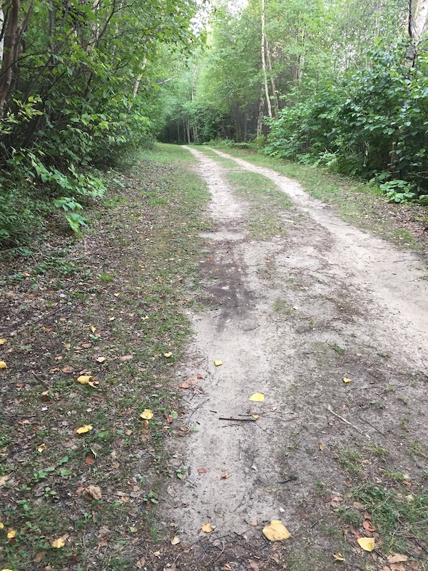 Spruce Hollow Nordic Skiing Trail - Tofield, Alberta