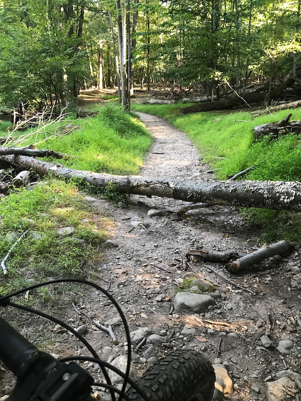 Red Trail (Woodland Trail) Mountain Biking Trail - Wayne
