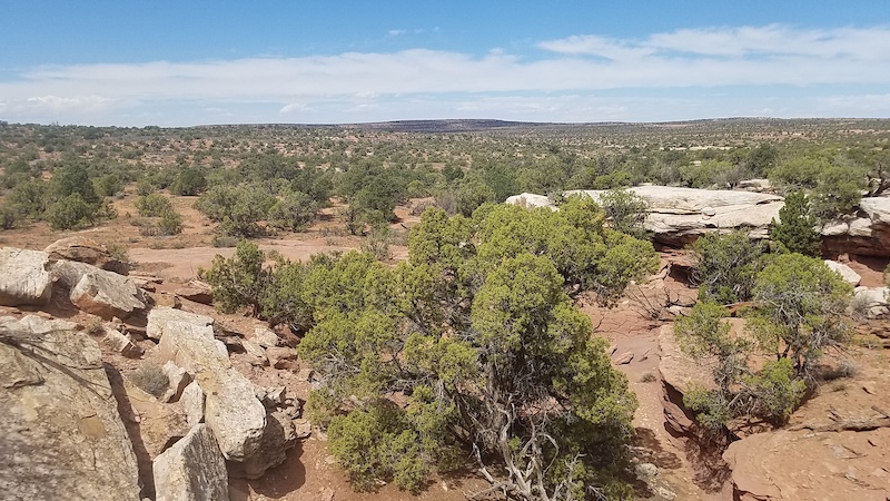 Rodeo Mountain Biking Trail - Horsethief, Moab, Utah