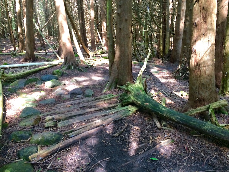 Homestead Mountain Biking Trail - Guelph, Ontario