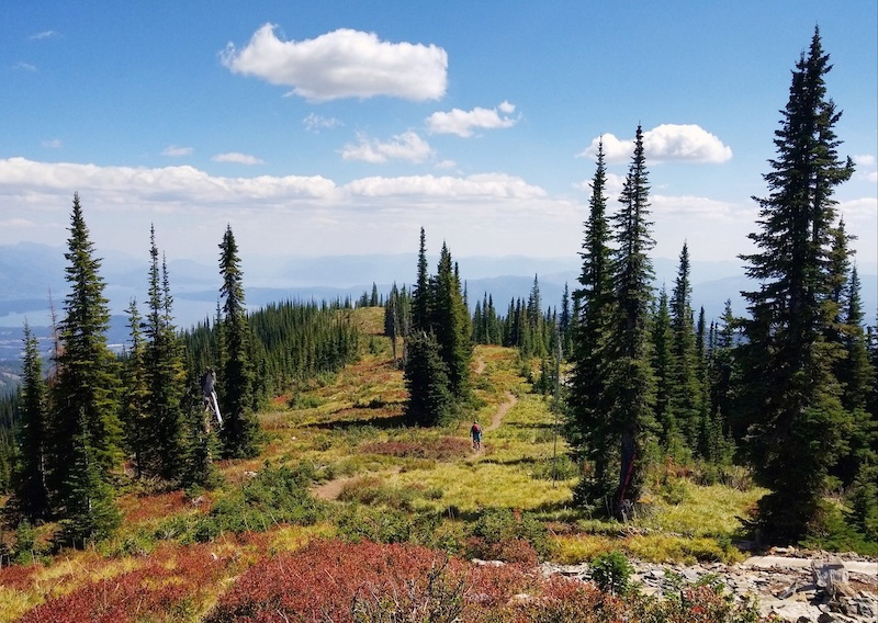 High Point Mountain Biking Trail - Sandpoint, Idaho