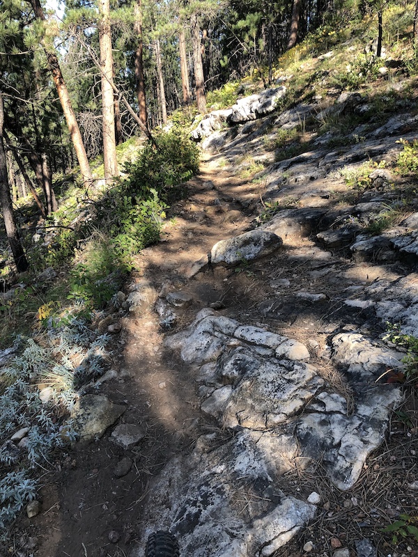 Crow Peak Trail Mountain Biking Trail - Spearfish, SD