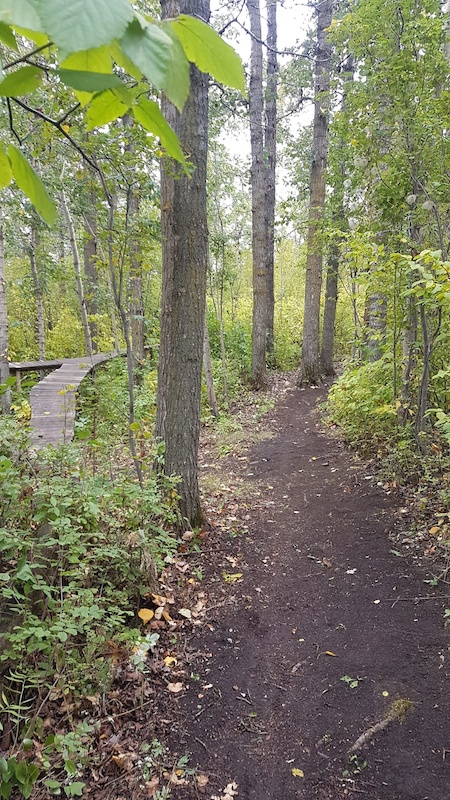 Access Trail - UP ROUTE Mountain Biking Trail - Red Deer
