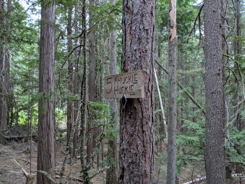 Five Knuckle Huckle Mountain Biking Trail - Nelson