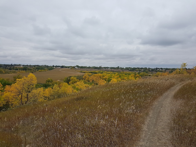 Thatcher path Mountain Biking Route | Trailforks