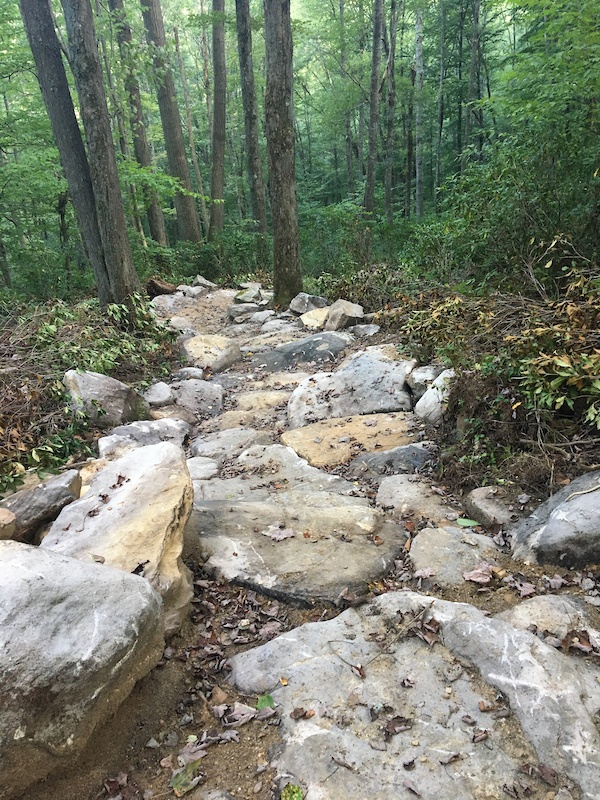 Jakes Rocks, Warren Mountain Biking Trails | Trailforks